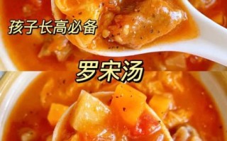 罗宋汤怎么做_孩子能喝吗