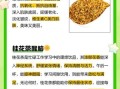 如何制作桂花茶_桂花茶的功效与作用