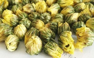 养肝明目茶用什么菊花最好_杭白菊还是胎菊