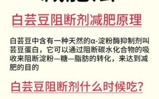 白芸豆怎么吃减肥最佳_饭前还是饭后