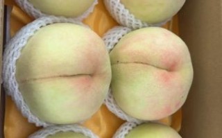 无锡水蜜桃哪里正宗_如何辨别真假阳山水蜜桃