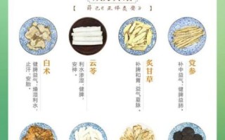 八珍汤配方_八珍汤适合哪些人喝