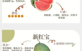西瓜怎么挑选甜的_西瓜怎么保存时间长