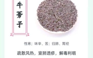 牛蒡怎么吃_牛蒡根怎么吃最好吃