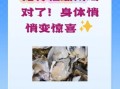 龙骨牡蛎汤的功效与作用_适合哪些人群