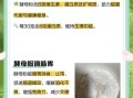 酵母粉是什么东西_酵母粉的作用与用法