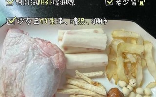 清炖鸭汤怎么做_清炖鸭汤需要焯水吗