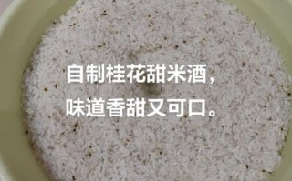 甜米酒怎么做_甜米酒的做法视频教程