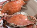 蒸海螃蟹要多长时间_蒸海螃蟹冷水还是热水下锅