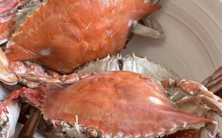 蒸海螃蟹要多长时间_蒸海螃蟹冷水还是热水下锅
