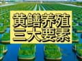 黄鳝养殖技术哪里学_黄鳝养殖培训哪家好