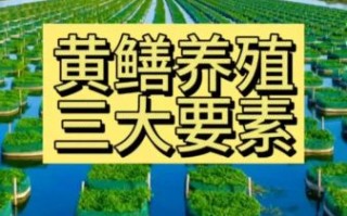 黄鳝养殖技术哪里学_黄鳝养殖培训哪家好