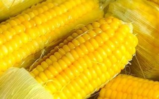 煮玉米需要放什么调料_玉米怎么煮才香甜
