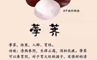 马蹄水果的功效与作用_马蹄水果怎么吃最营养