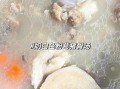 排骨汤怎么熬成乳白色_排骨汤变白技巧
