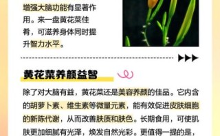 鲜黄花菜怎么吃_鲜黄花菜怎么处理去毒