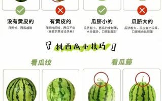 怎样挑选西瓜才是最好的_西瓜怎么挑才甜