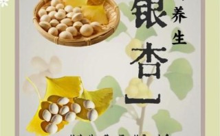 银杏果有什么功效_银杏果怎么吃才安全