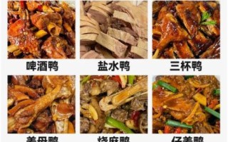 鸭肉怎么做好吃_家常做法大全
