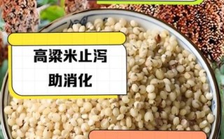 吃高粱米坏处有哪些_高粱米吃多了会怎样