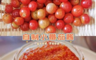 自制番茄酱怎么保存_能放多久