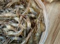 河虾吃什么食物_河虾怎么养才健康