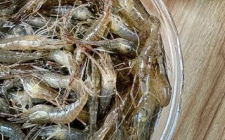 河虾吃什么食物_河虾怎么养才健康