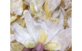 干鱼翅怎么泡发_干鱼翅的做法大全