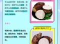 香芋和芋头的区别_香芋是不是芋头