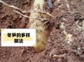 鲜冬笋的营养价值_鲜冬笋怎么吃最营养