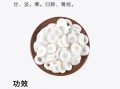 通草的功效与作用有哪些_通草怎么泡水喝