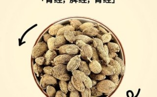 砂仁的功效与作用是什么_砂仁怎么吃效果最好