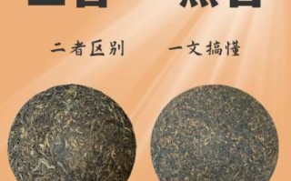 生普和熟普的区别_哪个更适合长期存放