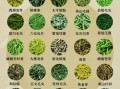 绿茶有哪些品种_绿茶哪个品种好喝