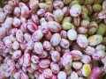 花生豆腐有市场前景吗_花生豆腐创业赚钱吗