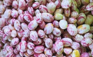 花生豆腐有市场前景吗_花生豆腐创业赚钱吗