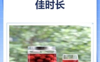 杨梅泡酒怎么做_杨梅酒要泡多久