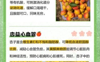 杏子的营养价值_杏子有哪些功效与作用