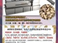 红薯淀粉加工设备全套多少钱_如何选购