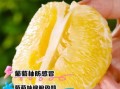 葡萄柚的功效与作用_血糖高能吃吗