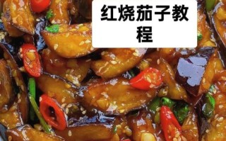 红烧茄子怎么烧不吸油_红烧茄子怎么烧才软糯 红烧茄子怎么烧不吸油_红烧茄子怎么烧才软糯