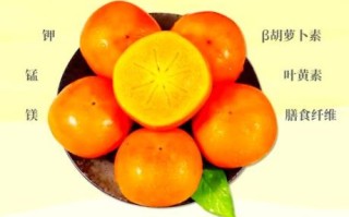 柿子的营养价值_吃柿子有什么好处