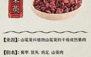 山萸肉的功效与作用_山萸肉的禁忌有哪些