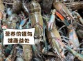 澳洲龙虾多少钱一斤_澳洲龙虾价格走势