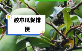 酸木瓜怎么吃_酸木瓜的禁忌有哪些
