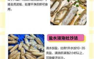 蛏子怎么清洗_蛏子的家常做法