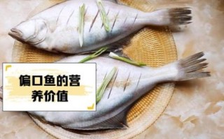 偏口鱼是比目鱼吗_偏口鱼与比目鱼的区别