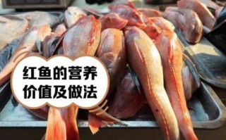 红鱼有多少种_红鱼品种图片大全