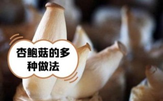 阿魏菇和杏鲍菇的区别_哪个更营养