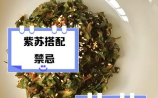 苏子叶不适合哪些人吃_孕妇能吃苏子叶吗